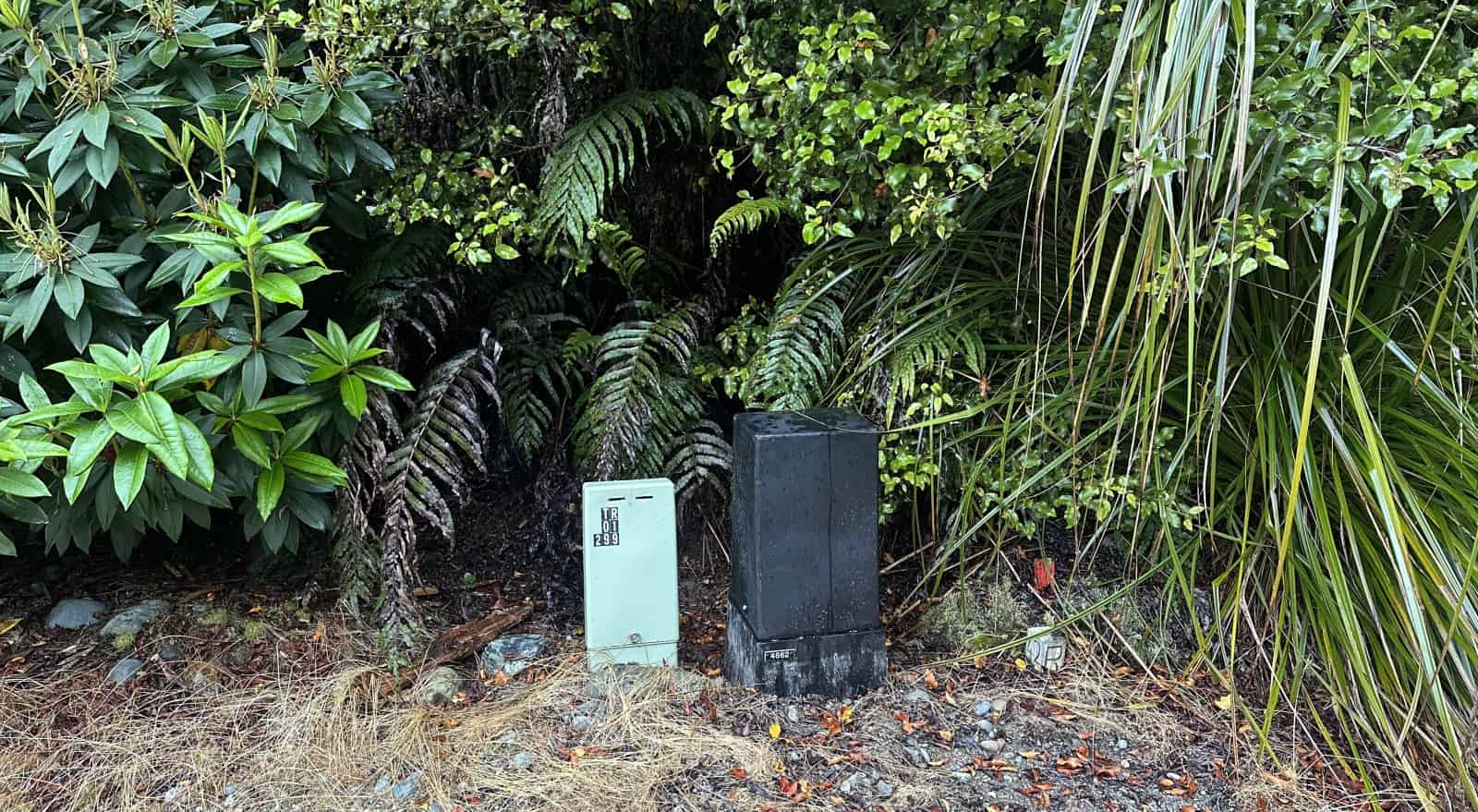 5 Jackson Place, Kumara Junction, Westland - For Sale - realestate.co.nz