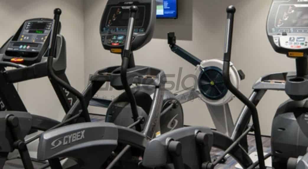 For lease Part Level/55 Shortland Street, Auckland Central - realestate ...