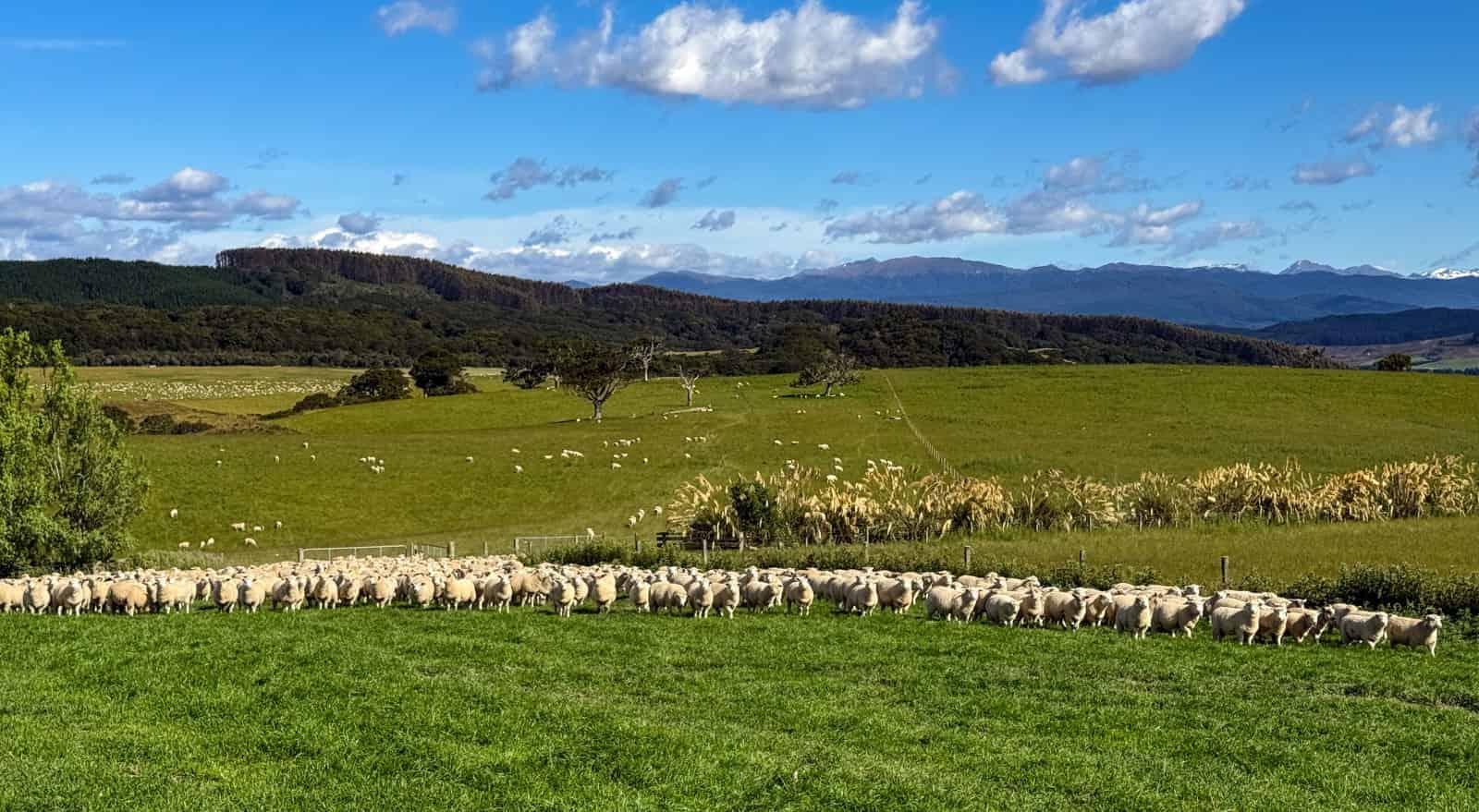 21 Lillburn Valley Road, Clifden, Southland - For Sale - realestate.co.nz