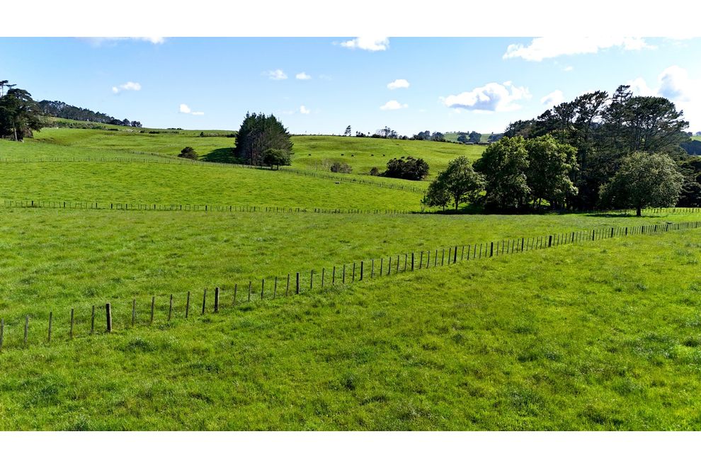 11 Pool Road, Wellsford, Rodney - For Sale - realestate.co.nz