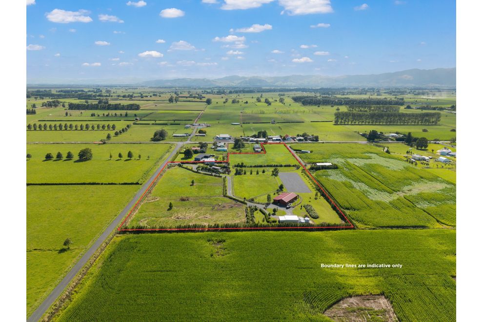 338 No 9 Road East, Springdale, Matamata-Piako - For Sale - realestate ...