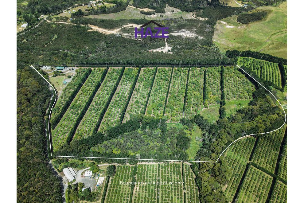 377 Paparore Road, Kaitaia, Far North - For Sale - realestate.co.nz