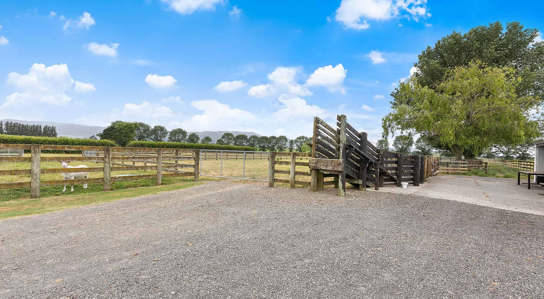 232 Tower Road, Matamata, Matamata-Piako - For Sale - realestate.co.nz