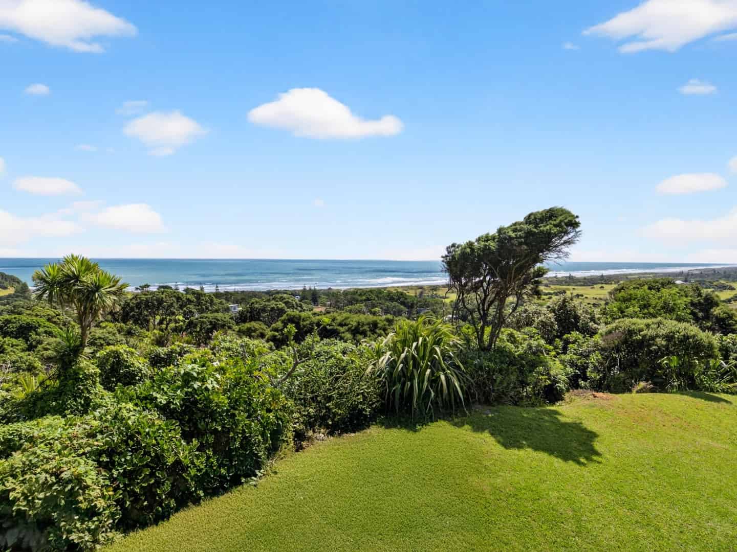 Simon Spiller - realestate.co.nz
