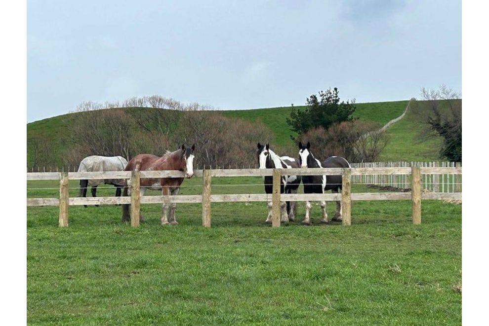 19 Black Road, Ashley Clinton, Central Hawkes Bay - For Sale ...