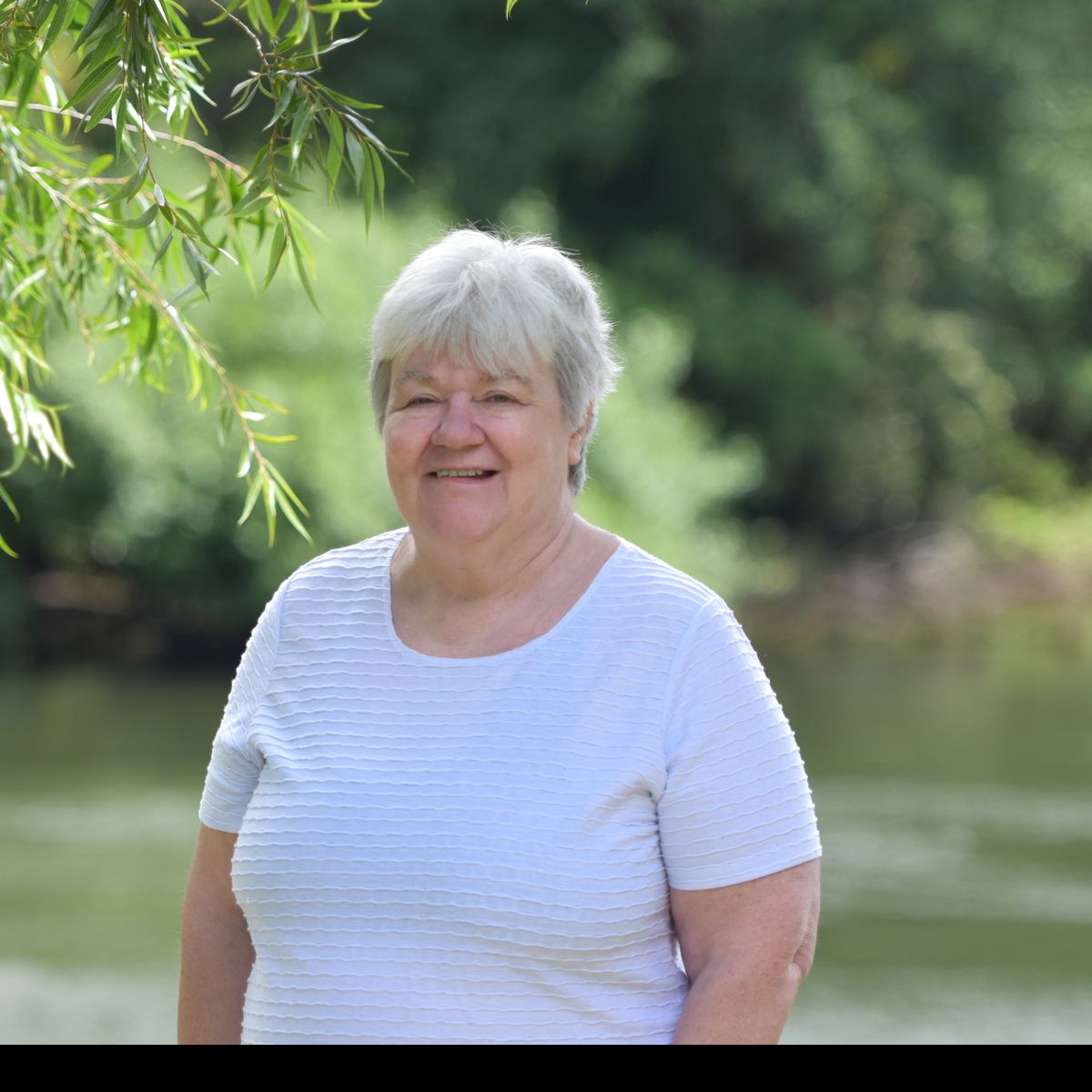 Bay of Plenty Homes and Real Estate for Rent - realestate.co.nz