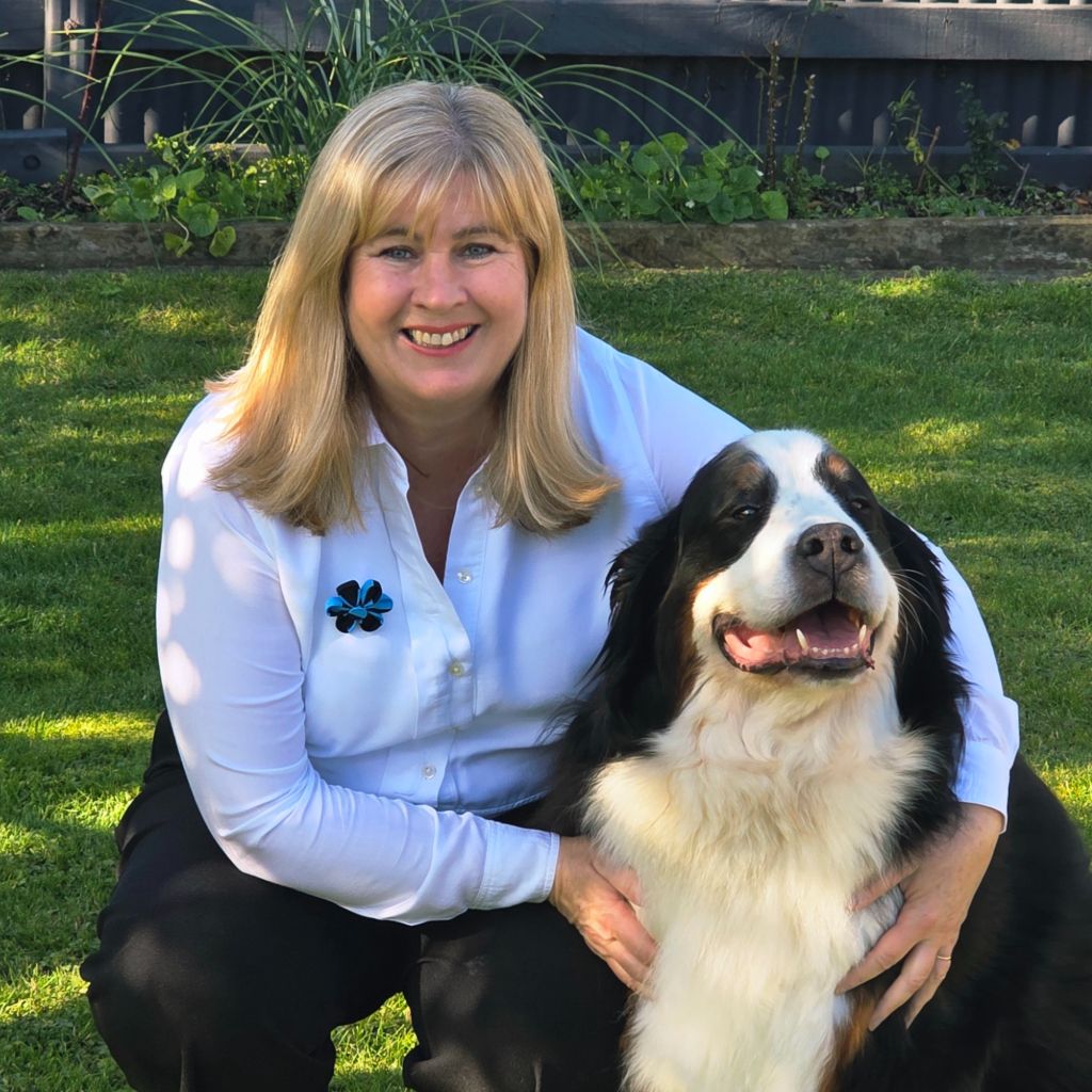 Hastings Homes and Real Estate for Sale - realestate.co.nz