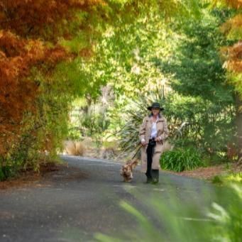 Raglan Homes and Real Estate for Sale - realestate.co.nz